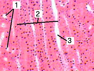 Quiz