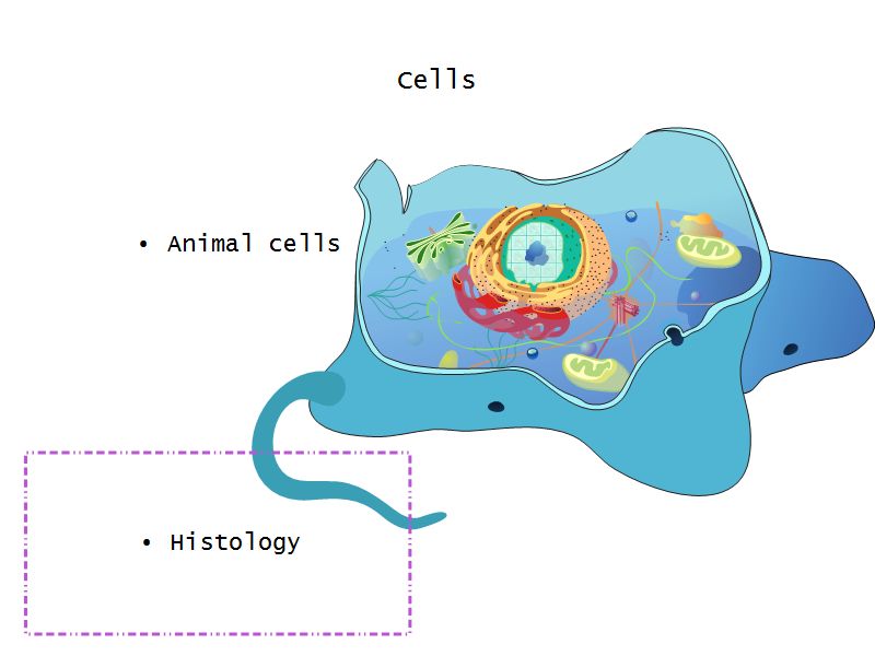 Introduction to Histology; Microscopy and Ultrastructure of the Cell