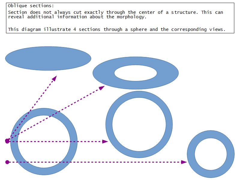 Introduction to Histology; Microscopy and Ultrastructure of the Cell